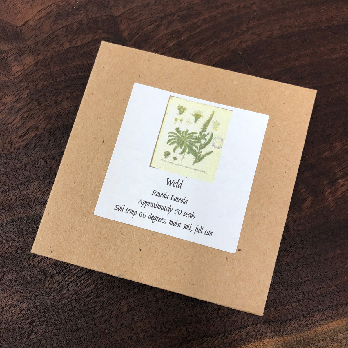 Weld 2025 stock- Seeds - Reseda Luteola – Apothefaery